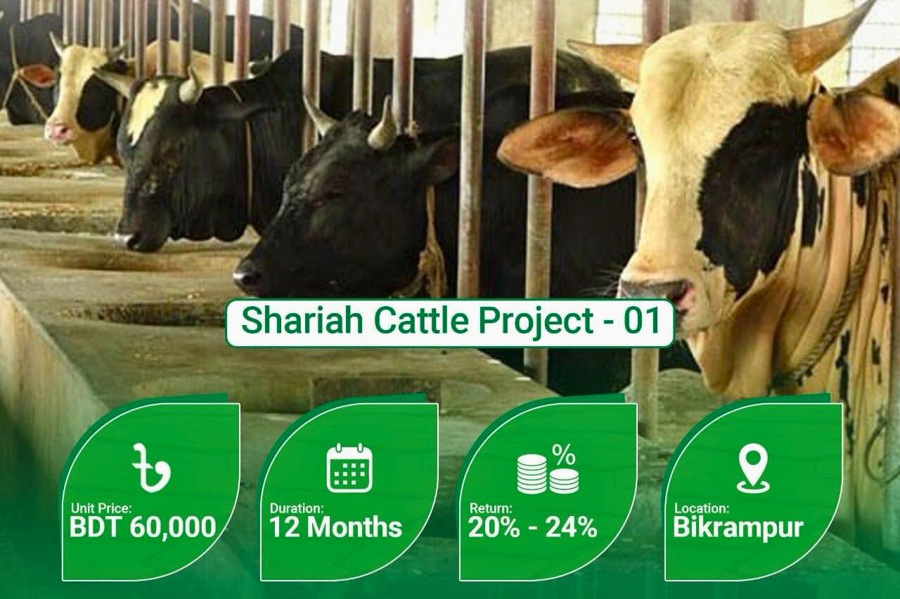 Shariah Cattle Project-1 – Grow Farmer