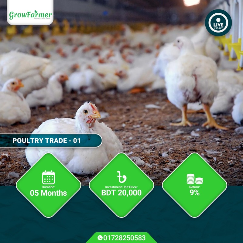 Poultry Trade – 01 – Grow Farmer