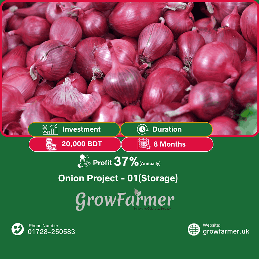 Onion Project – 01(Storage) – Grow Farmer