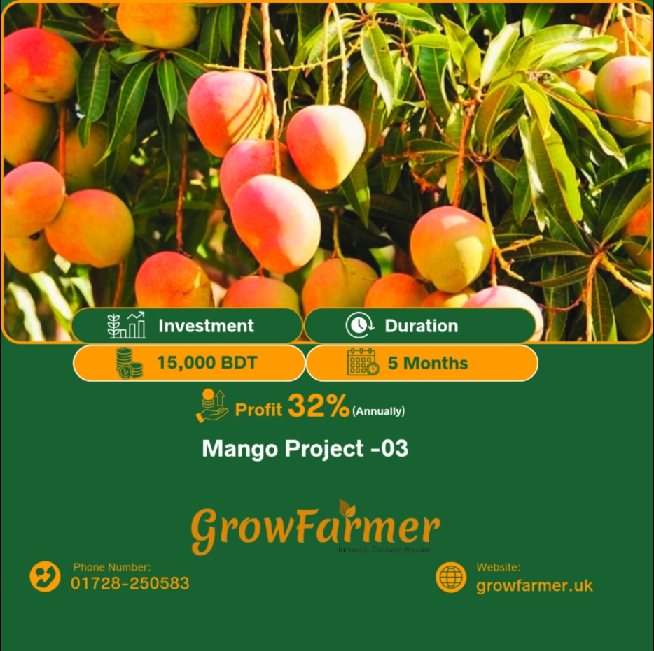 Mango Project -02 – Grow Farmer